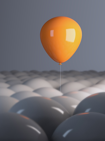 Flexibility Vs Maintainability Ia Engine